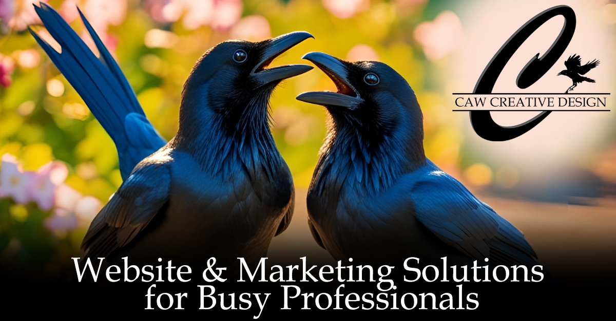 Website & Marketing Solutions for CT Professionals and Small Businesses ...